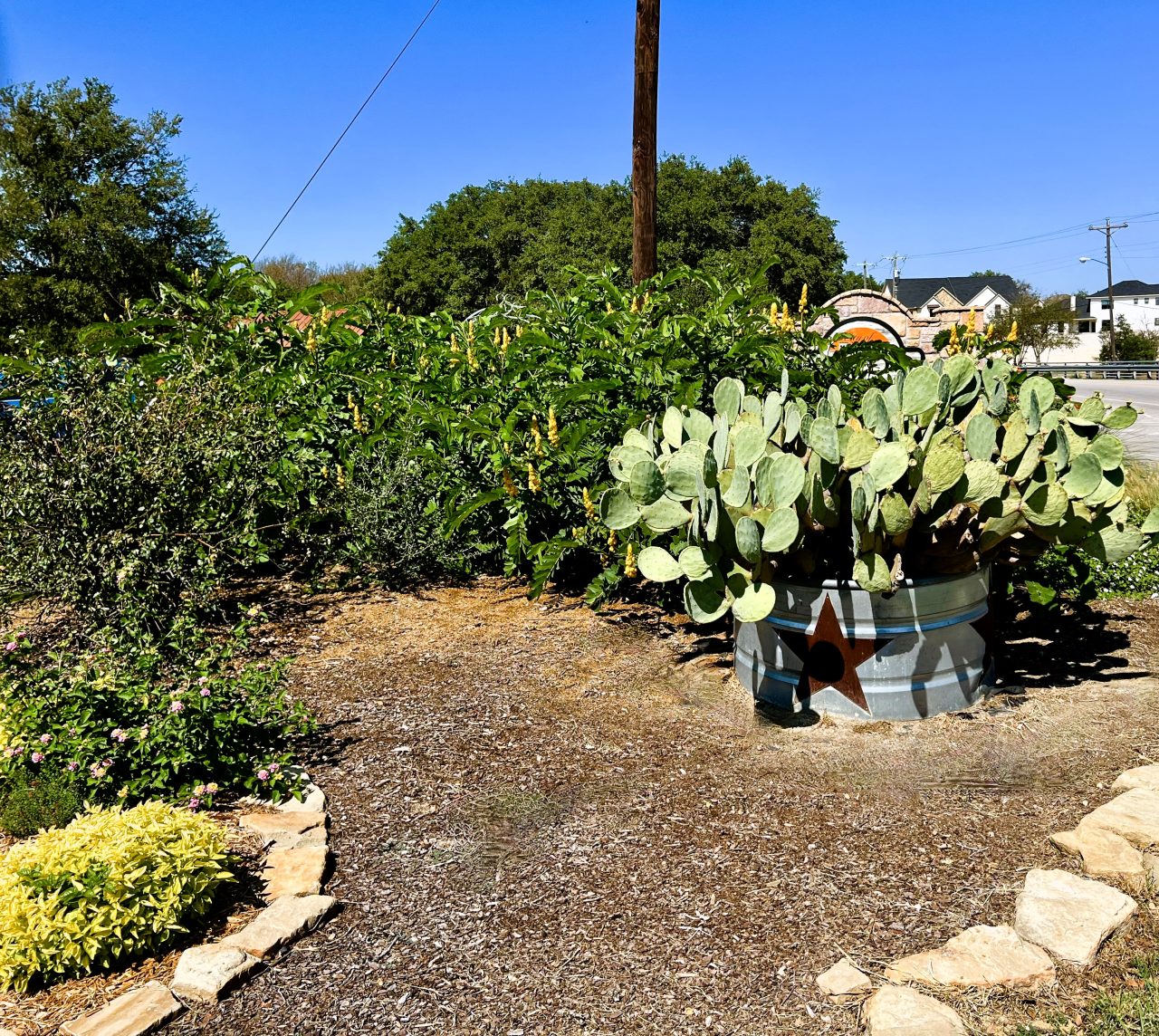 Aledo Community Center Project | Parker County Master Gardener Association